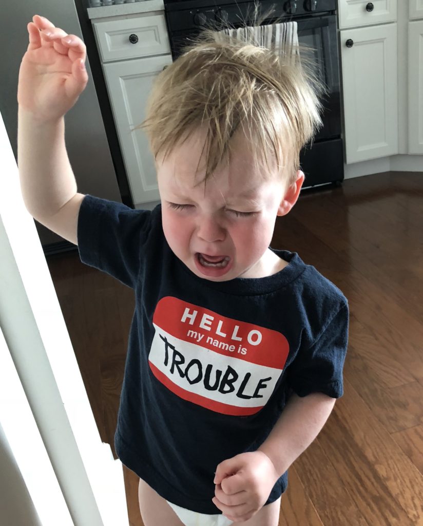 Terrible Twos Aren't So Terrible: Typical Behavior for a Two-Year-Old