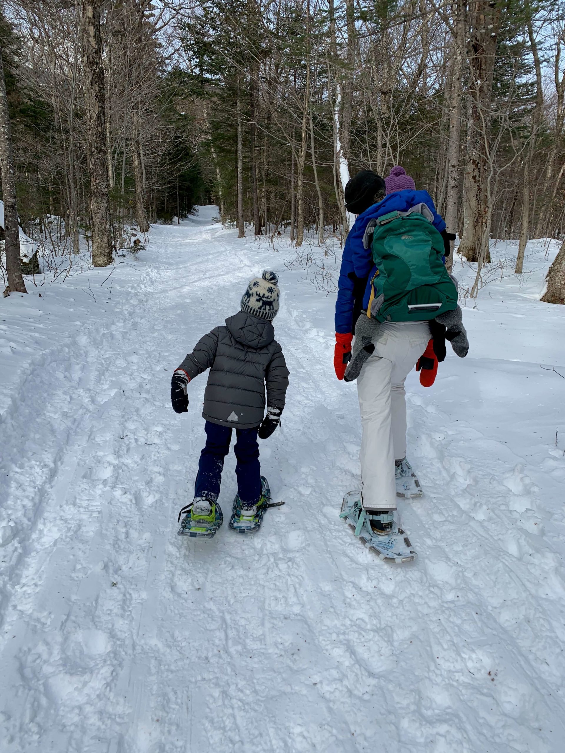 Things to Do In the Snow (with Littles!) - Winter Guide 2024