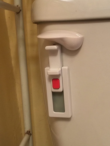 The Infamous Toilet Lock - Lucie's List
