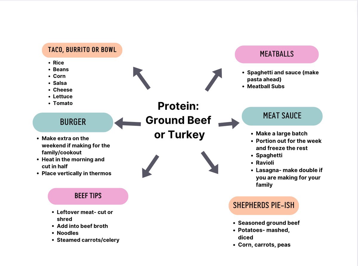 School Lunch Thermos Ideas | Lucie's List